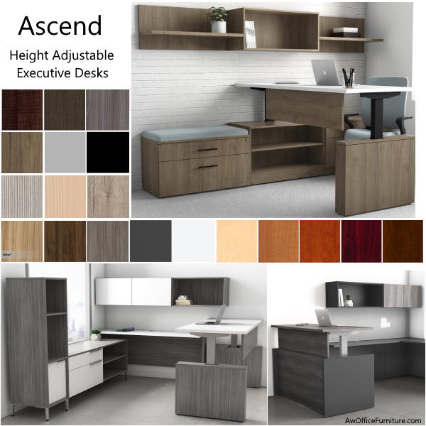 Deskmakers Ascend Sit to Stand Executive Office